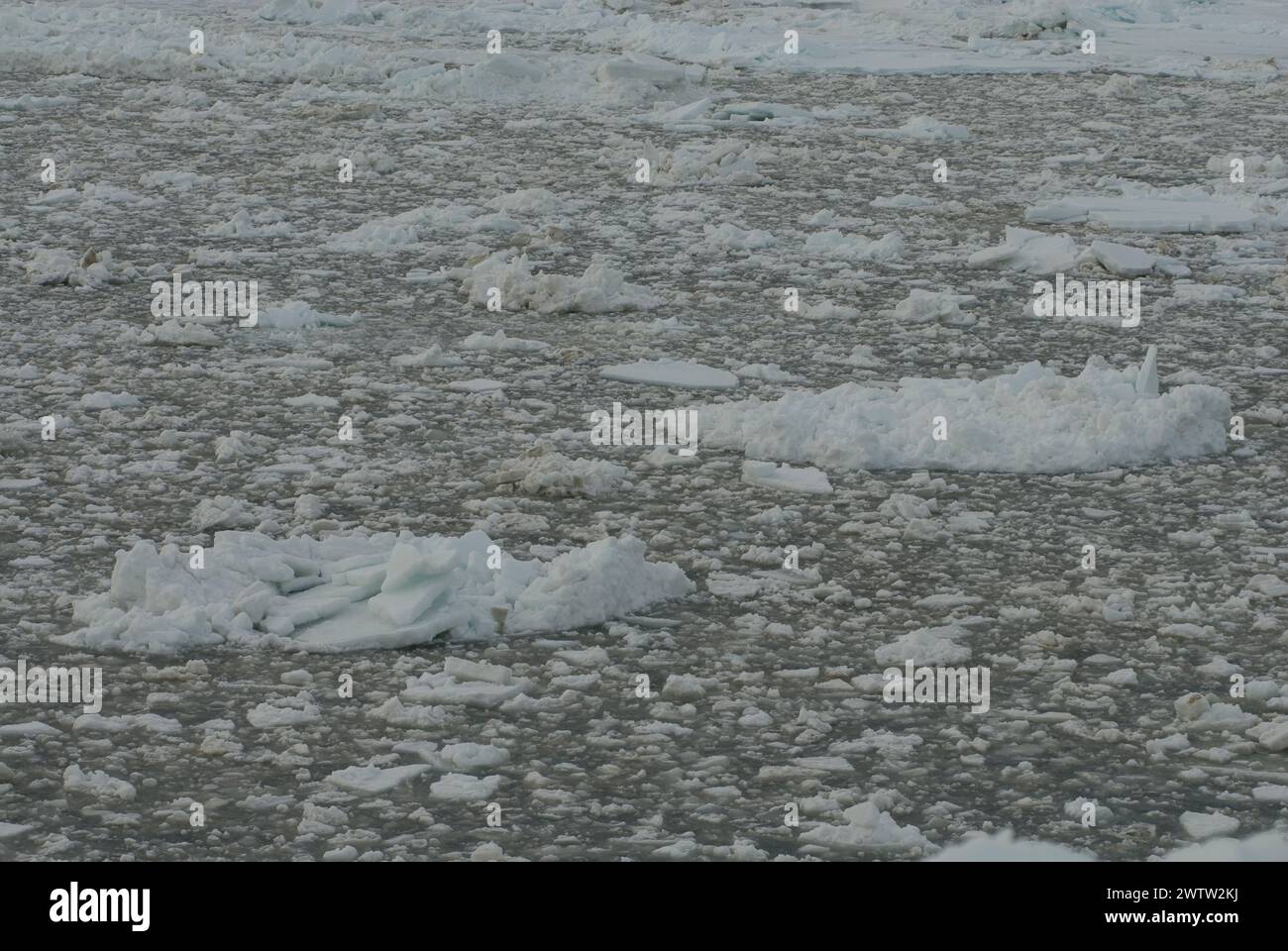 Seascape open lead rough pack ice over the Chukchi sea in springtime ...