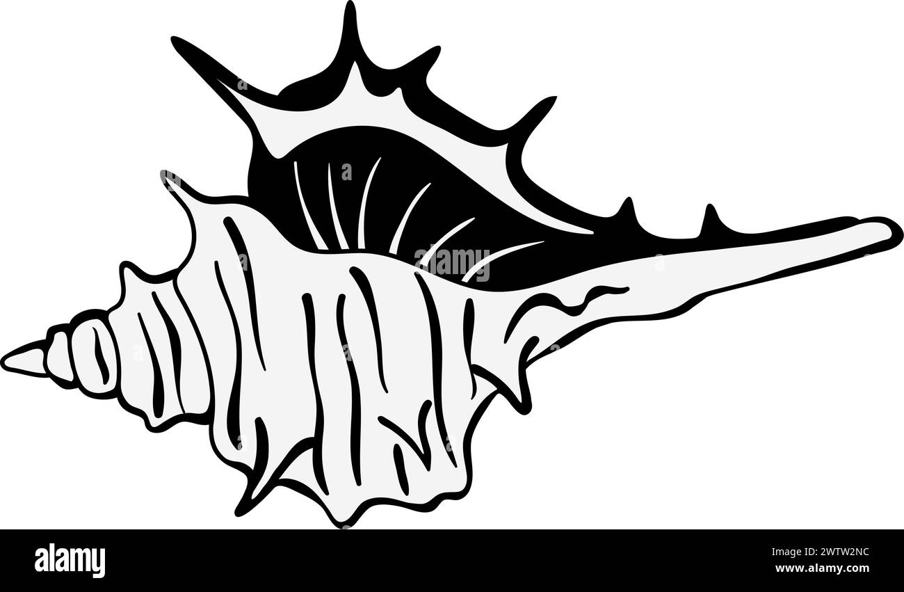 Seashell black icon. Conch drawing. Beach symbol Stock Vector Image ...