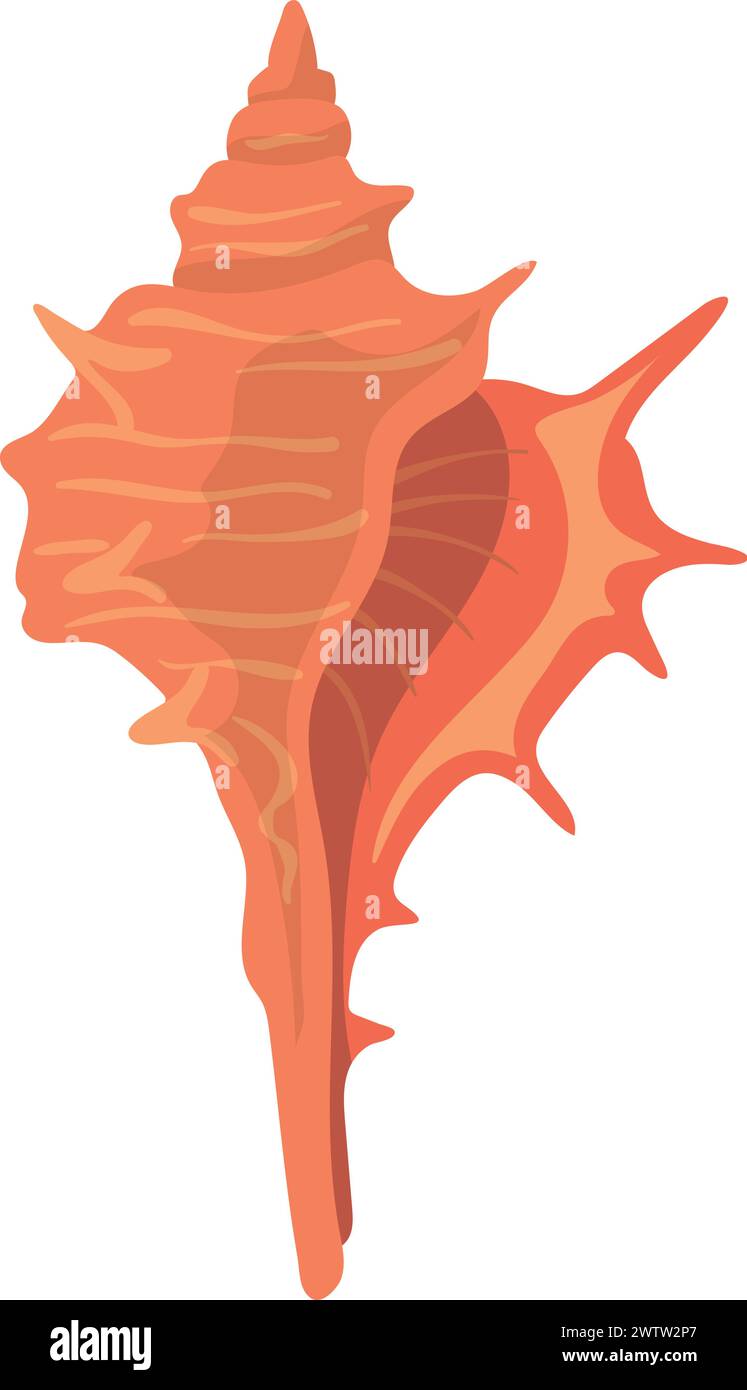 Cartoon seashell hi-res stock photography and images - Alamy