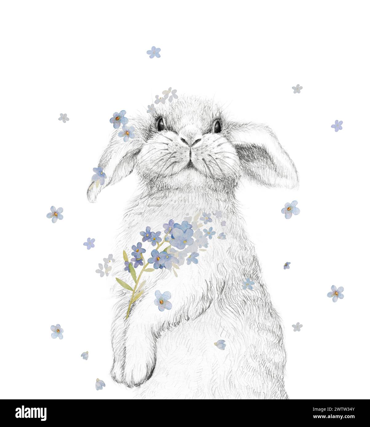 Easter bunny clipart drawing Cut Out Stock Images & Pictures - Alamy