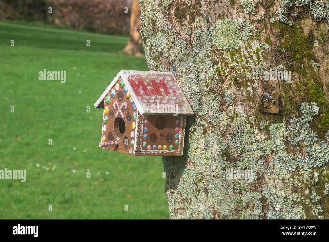 Novelty bird box ornamentation on the trunk of an old tree growing in ...