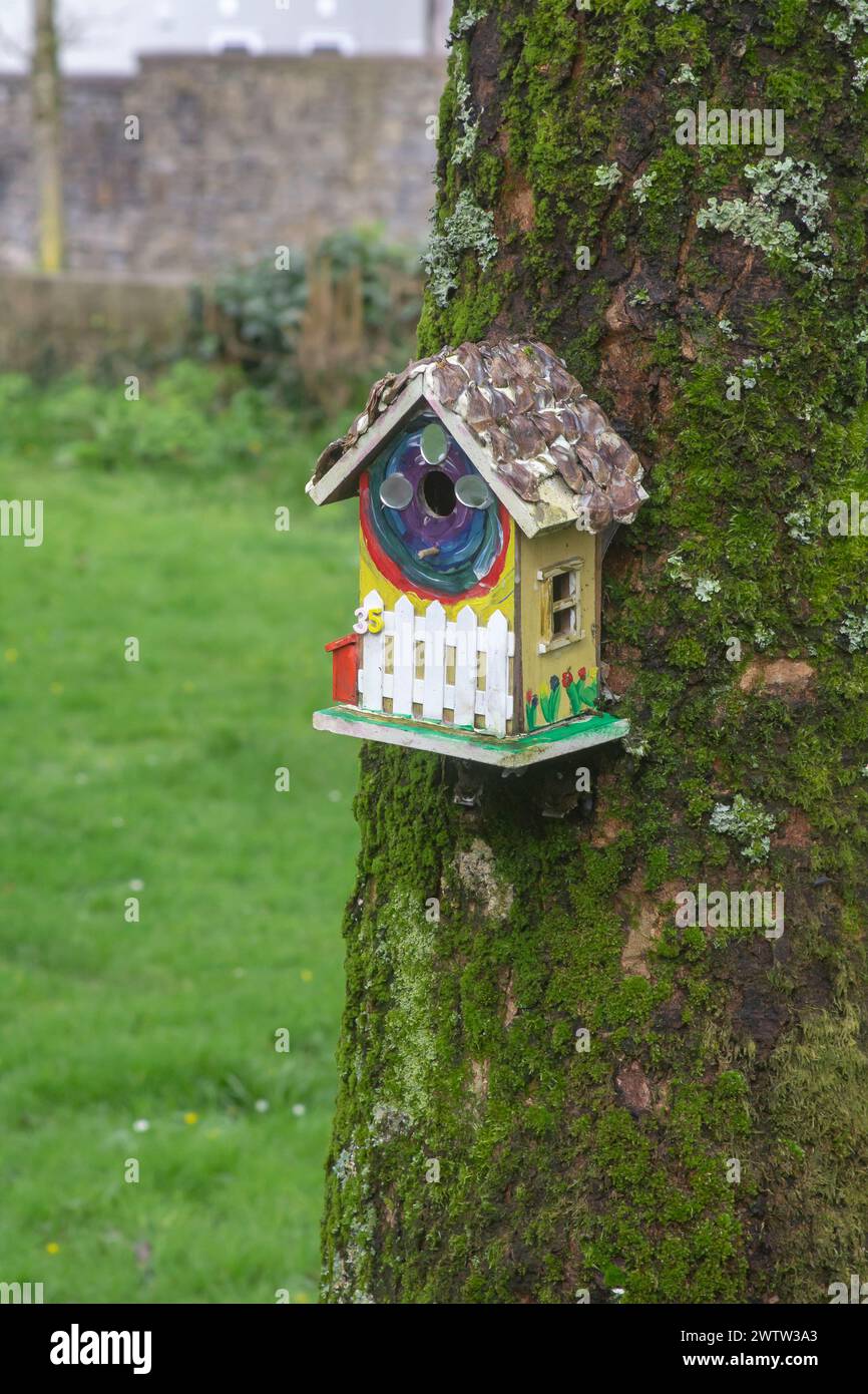 Novelty Bird Box ornamentation on the hugh trunk of an old tree growing ...