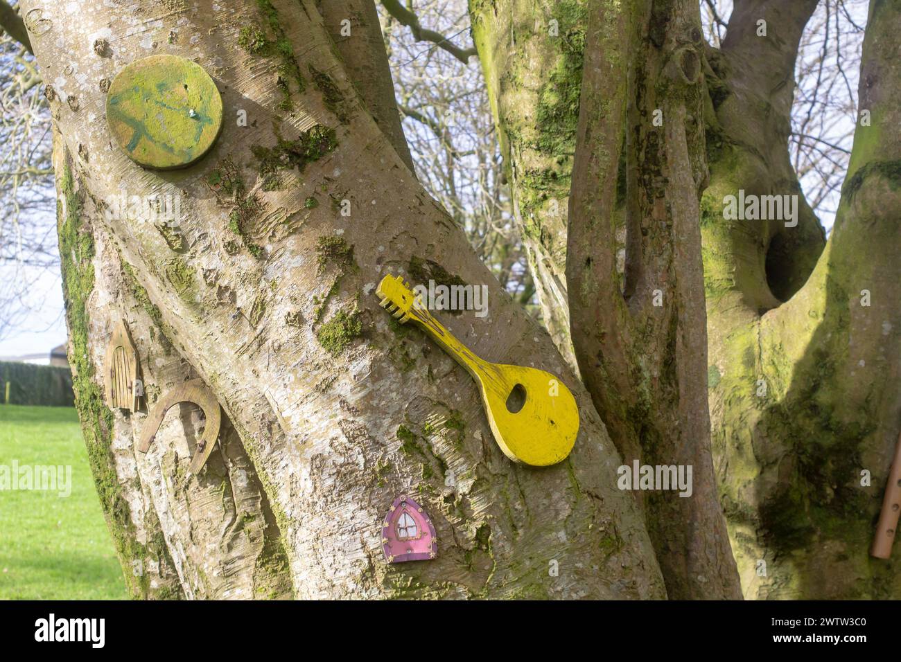 Old ash tree hi-res stock photography and images - Alamy