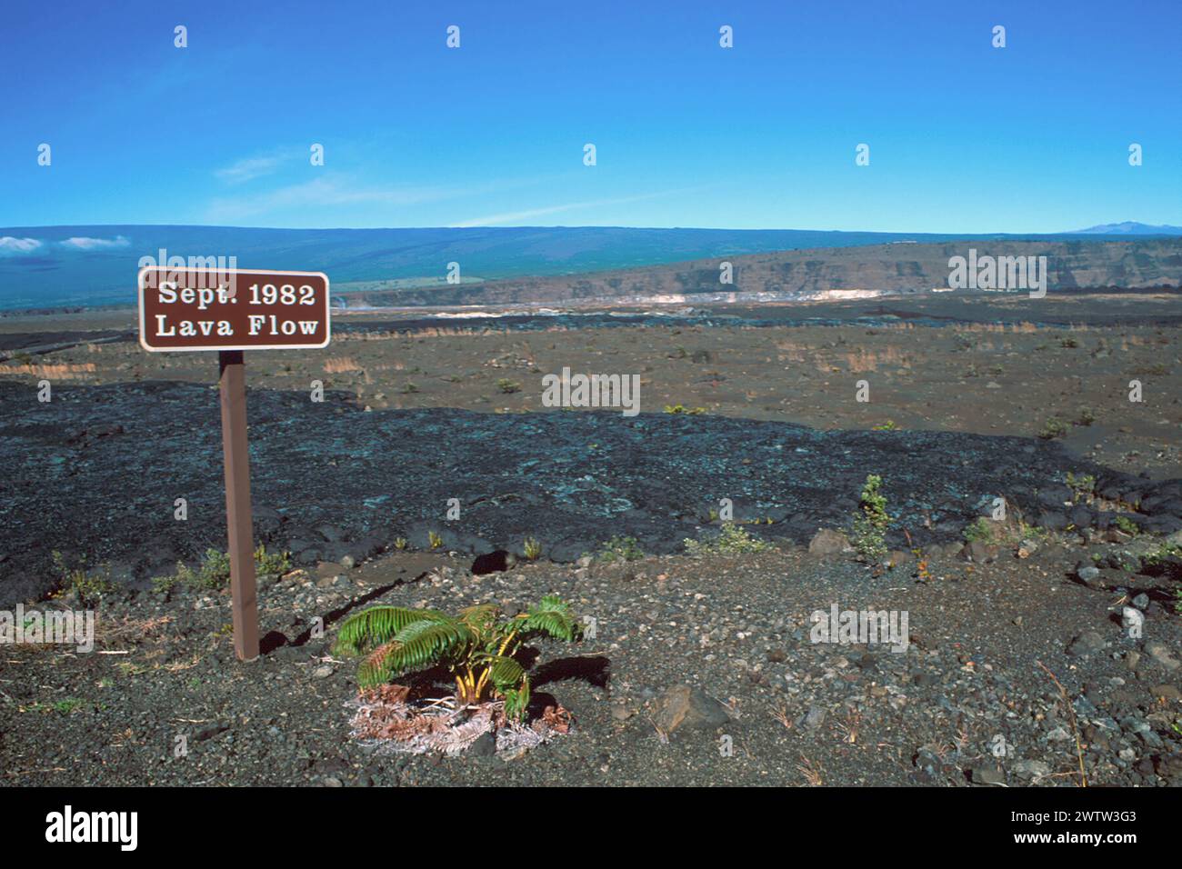 Sign showing September 1982 lava flow by new growth, taken in 1998 ...