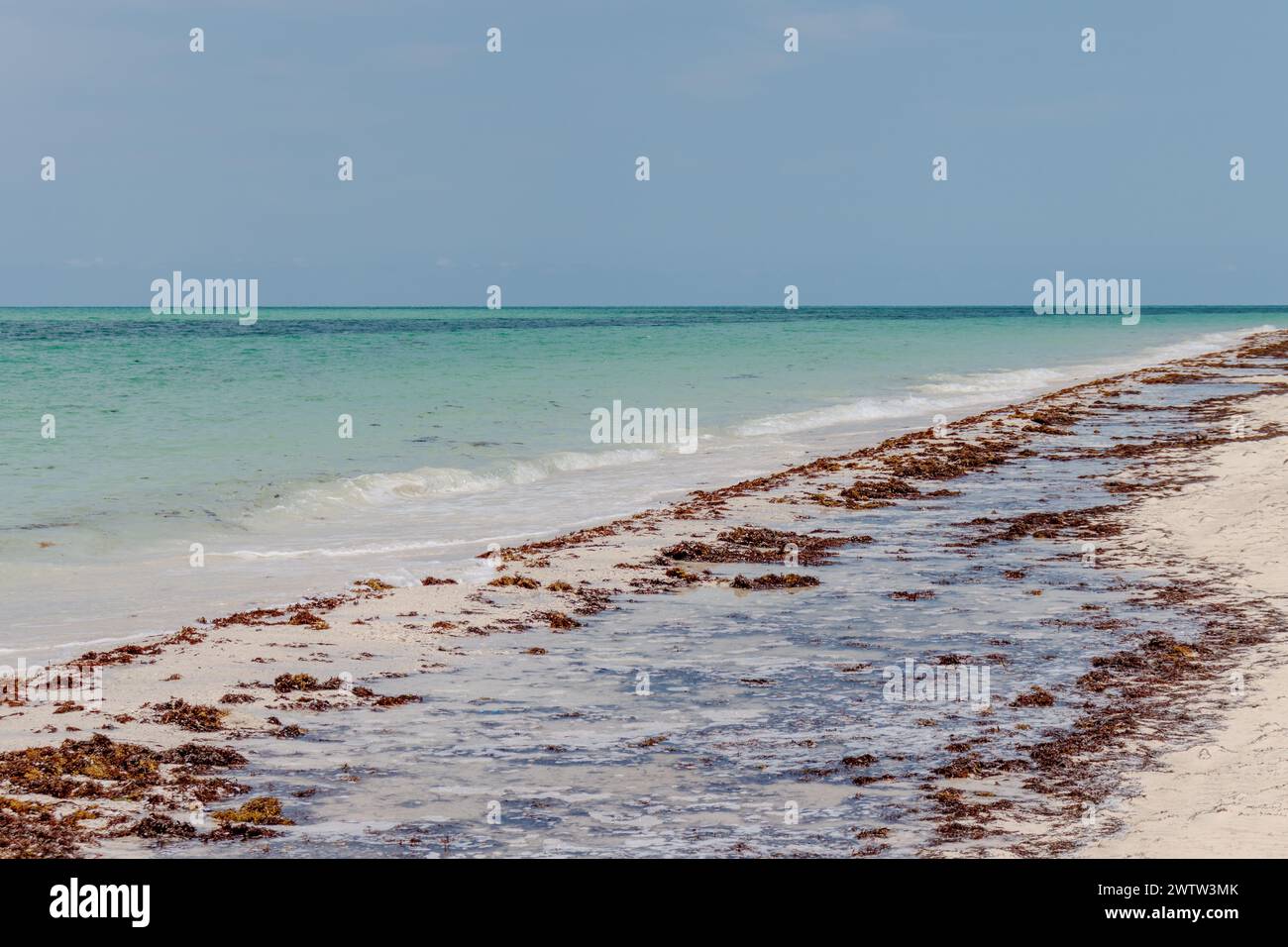 Beatiful beaches hi-res stock photography and images - Alamy