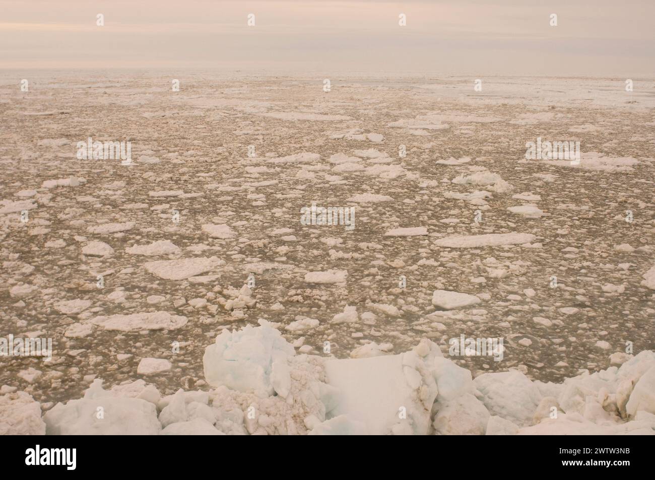 Seascape open lead rough pack ice over the Chukchi sea in springtime ...