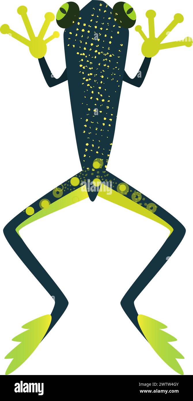 Exotic amphibia. Jumping frog with patterned green skin Stock Vector ...