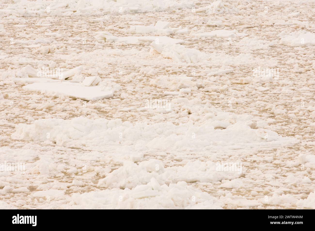 Seascape open lead rough pack ice over the Chukchi sea in springtime ...