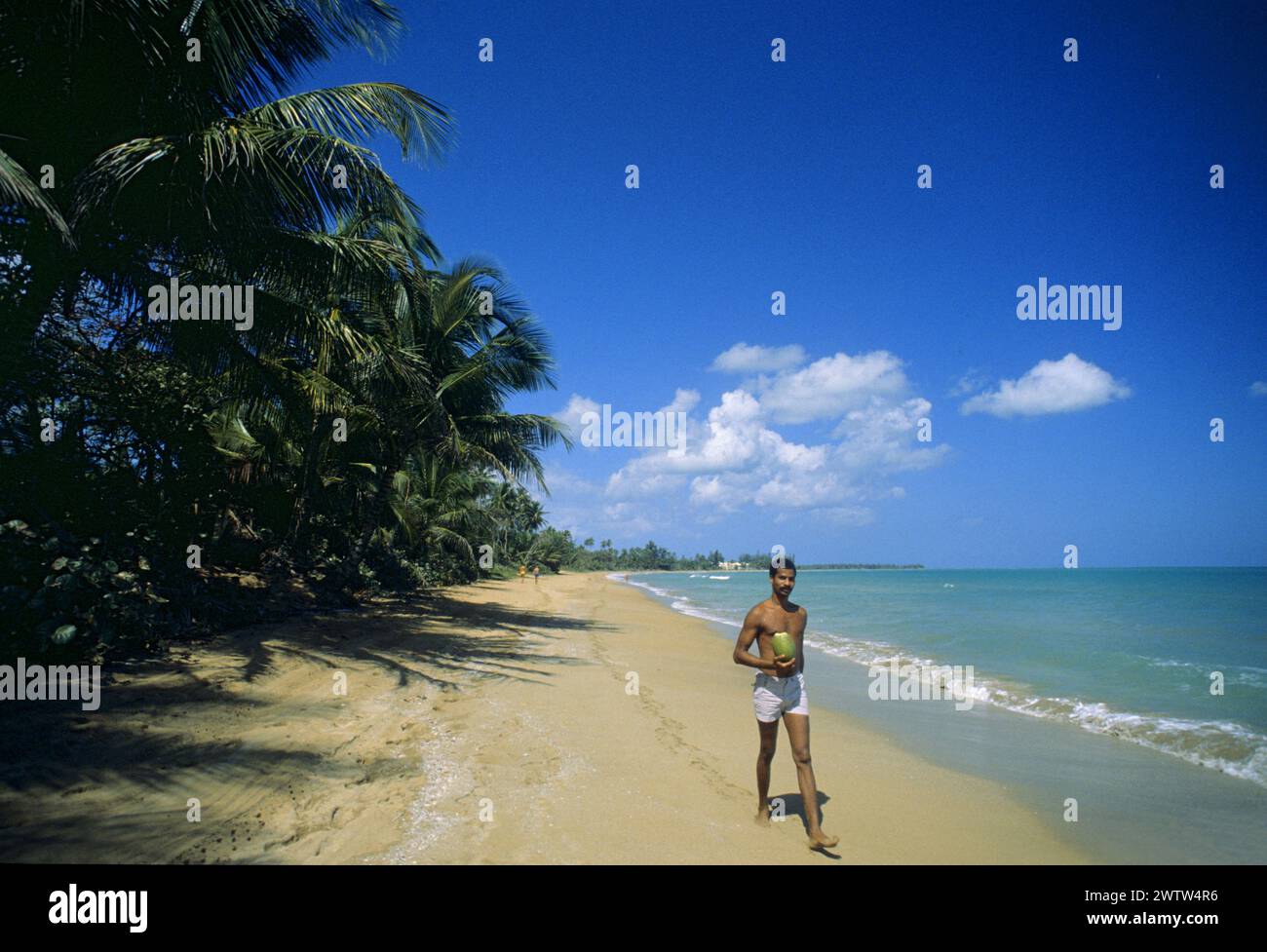 porto rico puerto rico usa tropical beach summer holidays carrabean ...