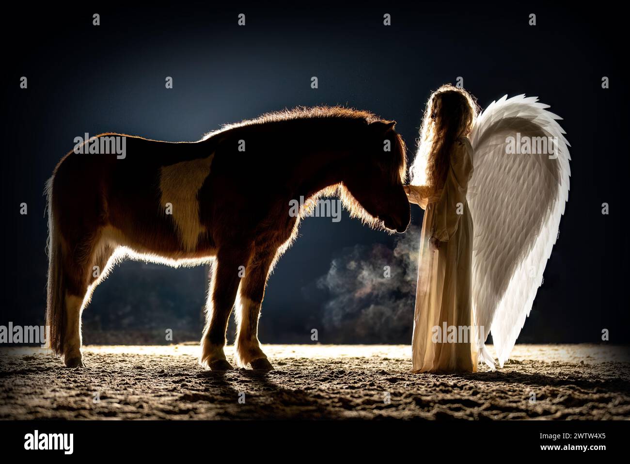Romantic scenery of a woman and her horse - night photography of an ...