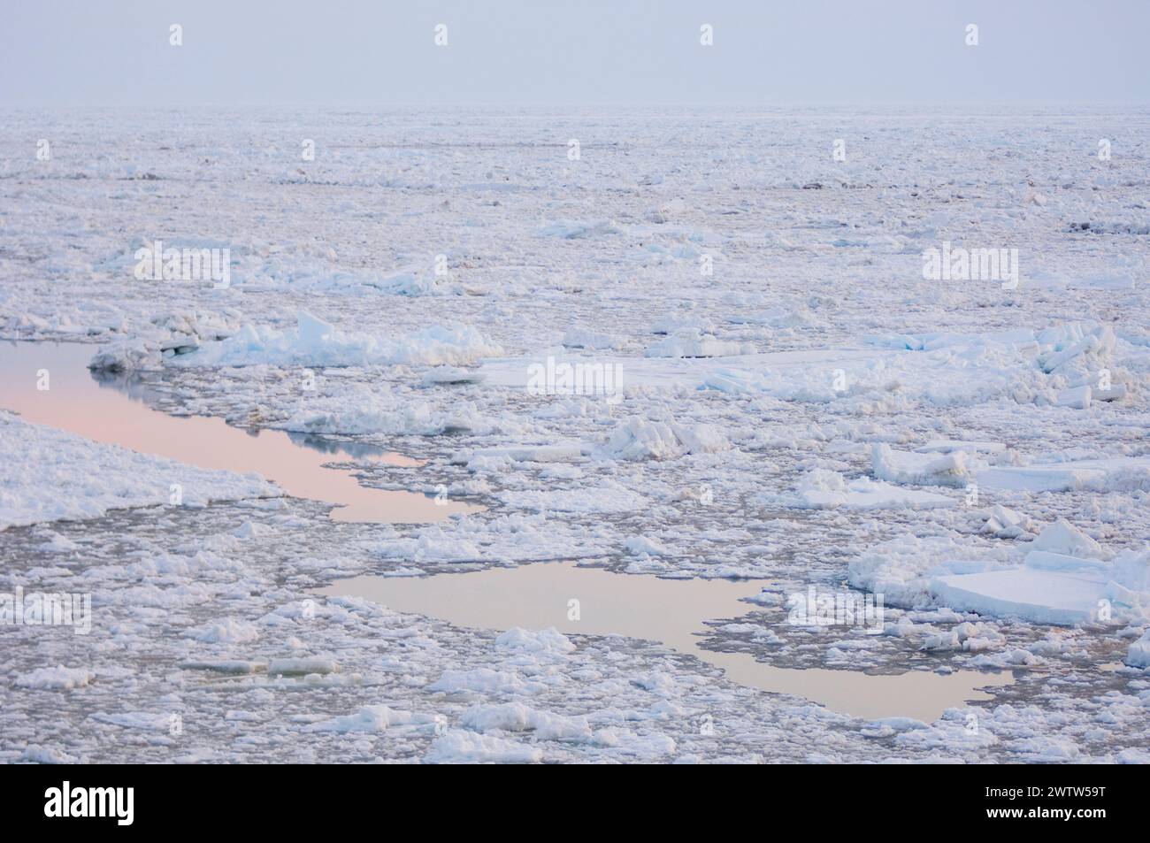 Seascape open lead rough pack ice over the Chukchi sea in springtime ...