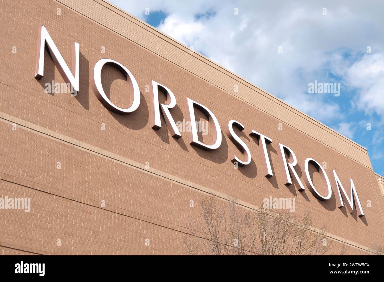 Nordstrom Logo