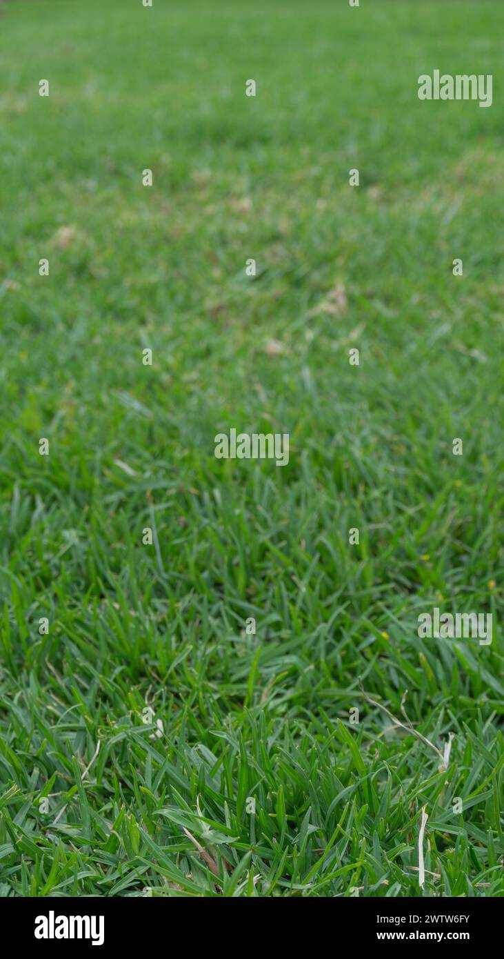 Well maintained outdoor space hi-res stock photography and images - Alamy