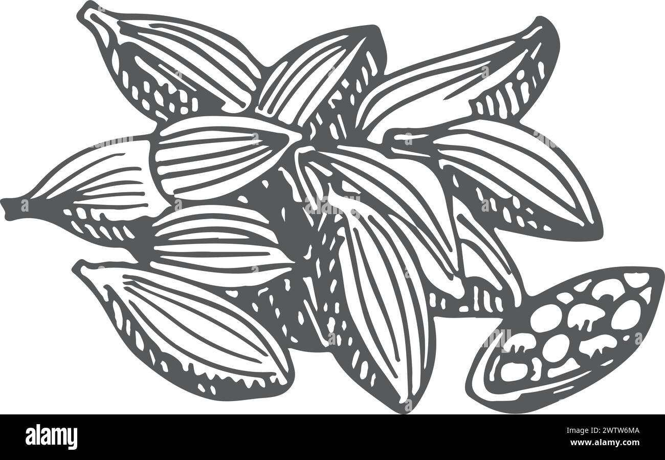 Indian ground sketch hi-res stock photography and images - Alamy