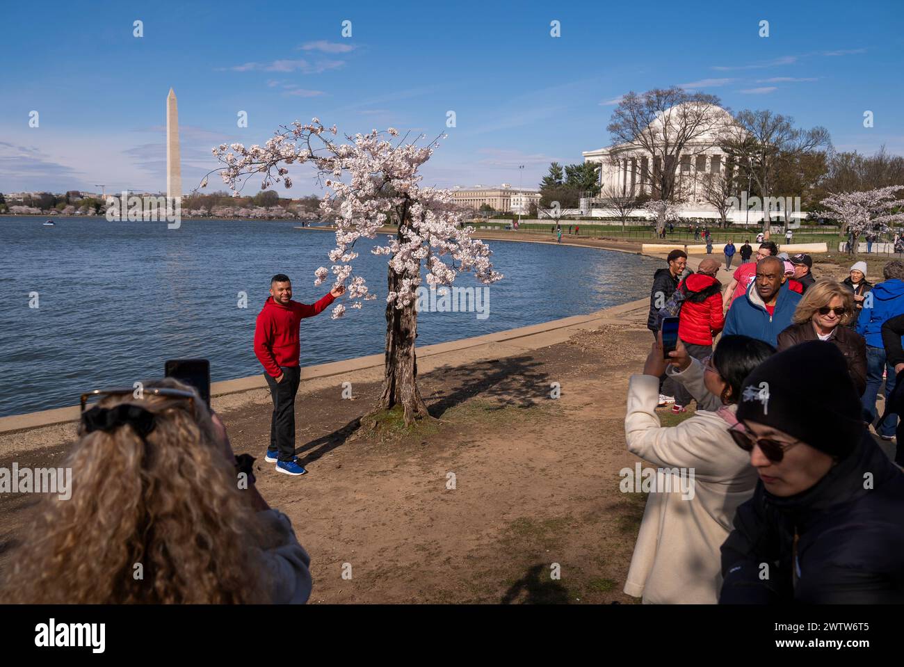 The Washington Monument and Jefferson Memorial are visible as visitors ...