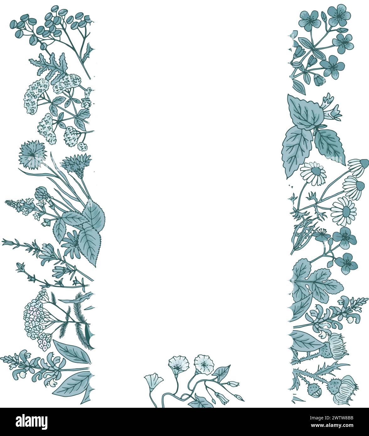 Decorative border plants hi-res stock photography and images - Alamy