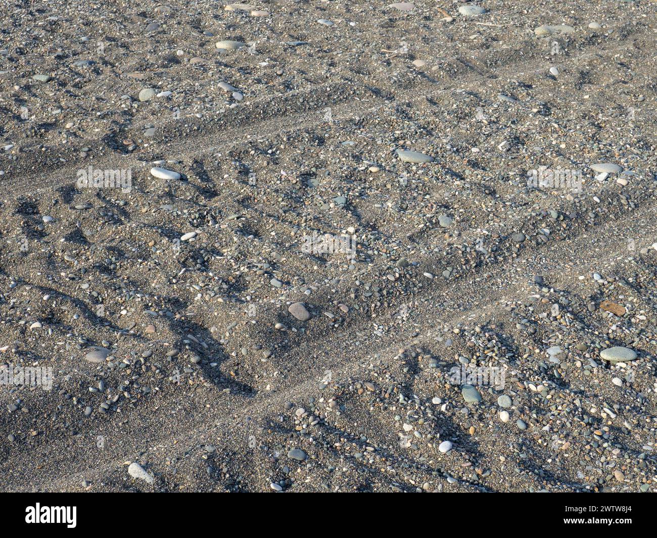 Rut in the sand. Tracks from car wheels on the beach. Sand and stones ...
