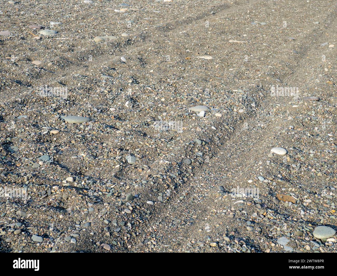 Rut in the sand. Tracks from car wheels on the beach. Sand and stones ...