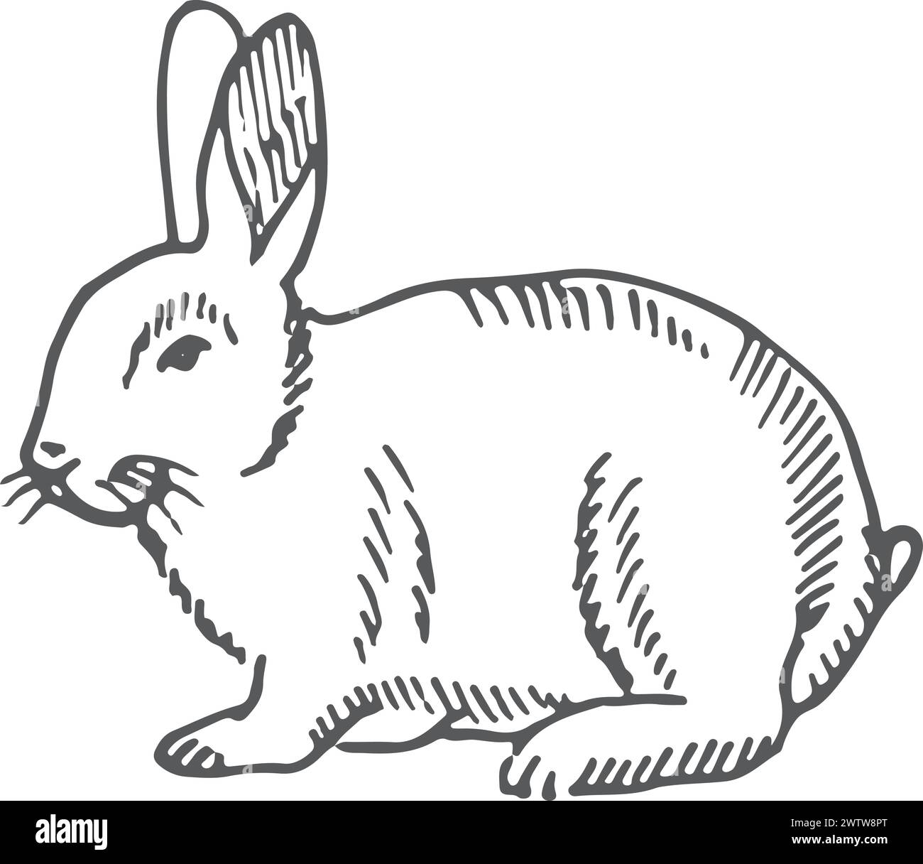 Rabbit animal art Black and White Stock Photos & Images - Alamy