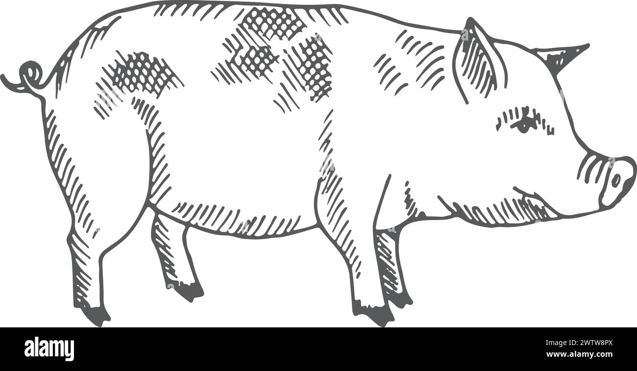 Animal hand drawn Black and White Stock Photos & Images - Alamy