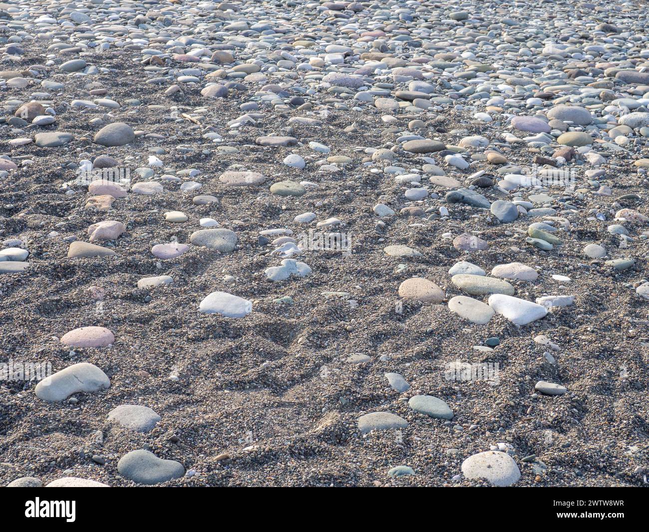 Gray sand and stones on the beach. Beach in winter. Sea coast soil. Dry ...