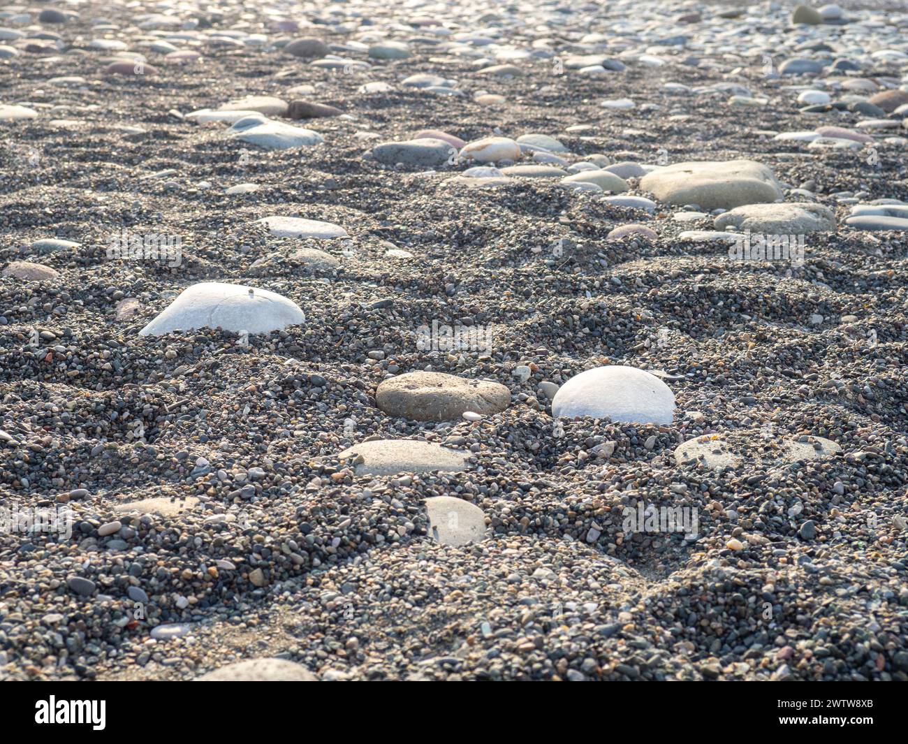 Gray sand and stones on the beach. Beach in winter. Sea coast soil. Dry ...