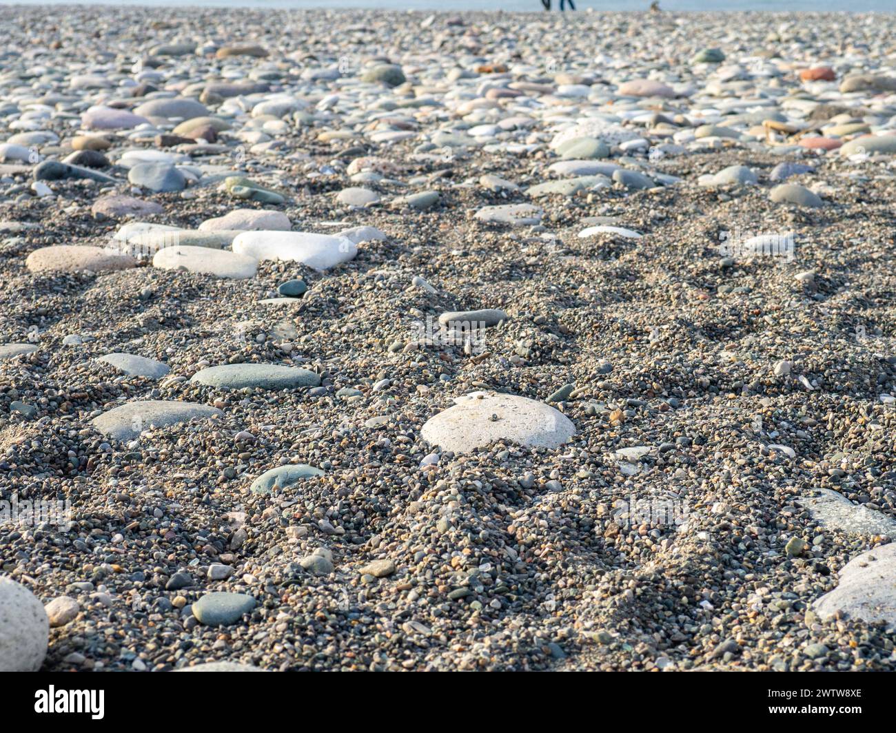 Gray sand and stones on the beach. Beach in winter. Sea coast soil. Dry ...