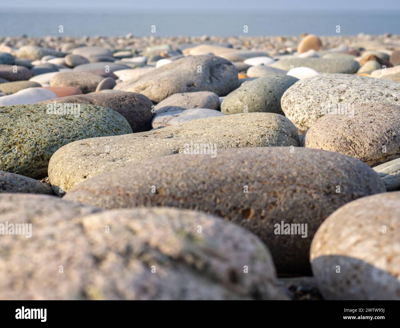 Gray sand and stones close-up on the beach. Stone in the foreground ...