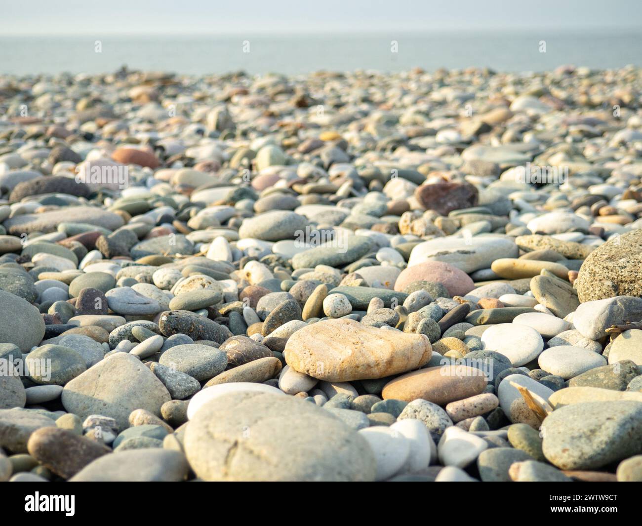 Gray sand and stones close-up on the beach. Stone in the foreground ...