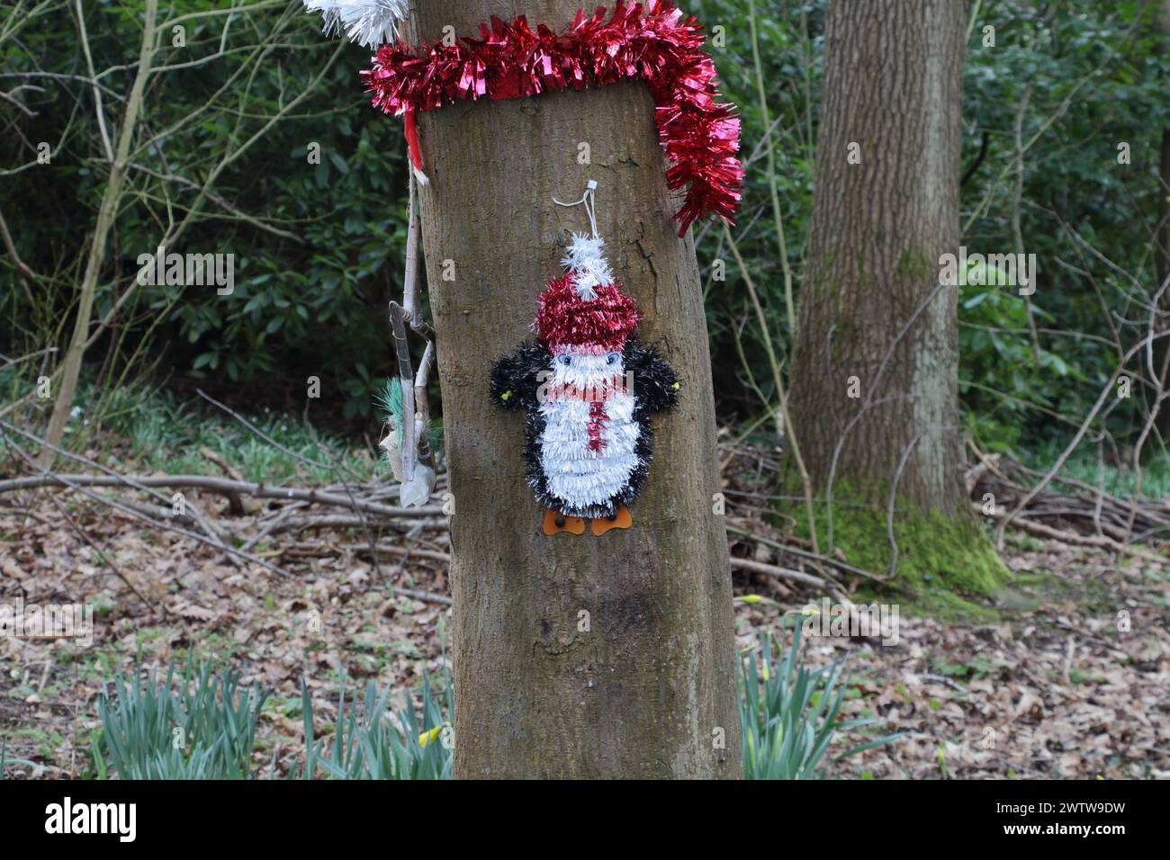 Christmas decorations on a tree, garden of remembrance joy emotions ...