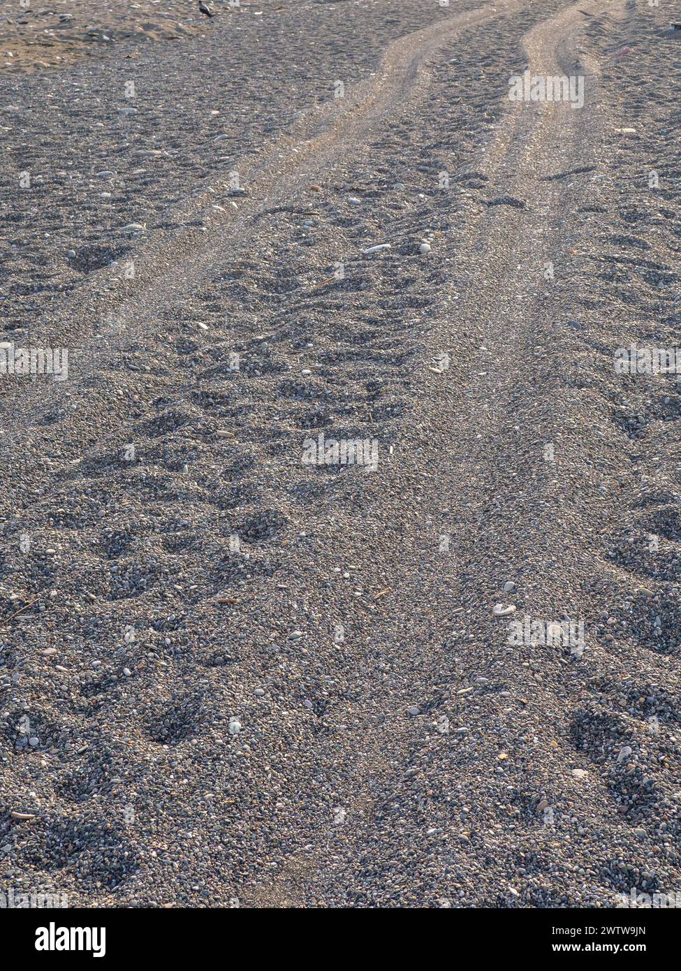 Rut in the sand. Tracks from car wheels on the beach. Sand and stones ...