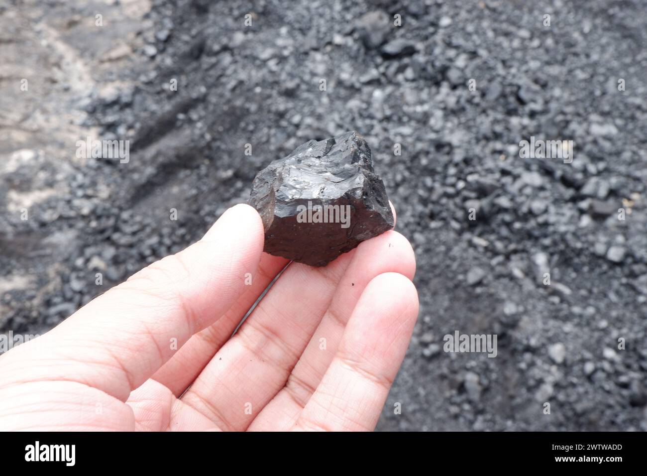 small piece of coal in the hand, coal mining industry Stock Photo - Alamy