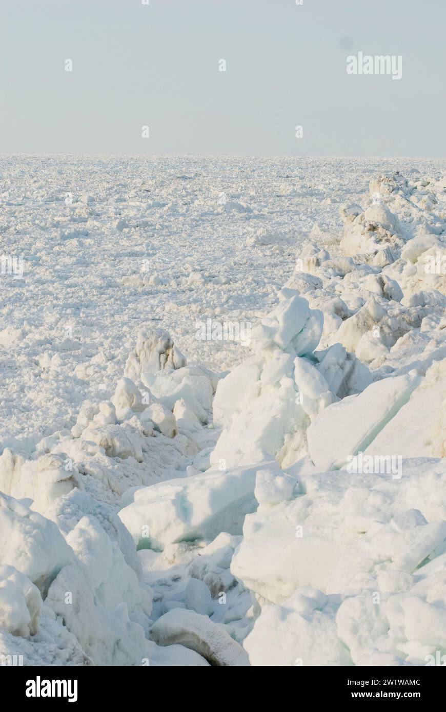 Seascape of rough pack ice over the Chukchi sea in springtime, off ...