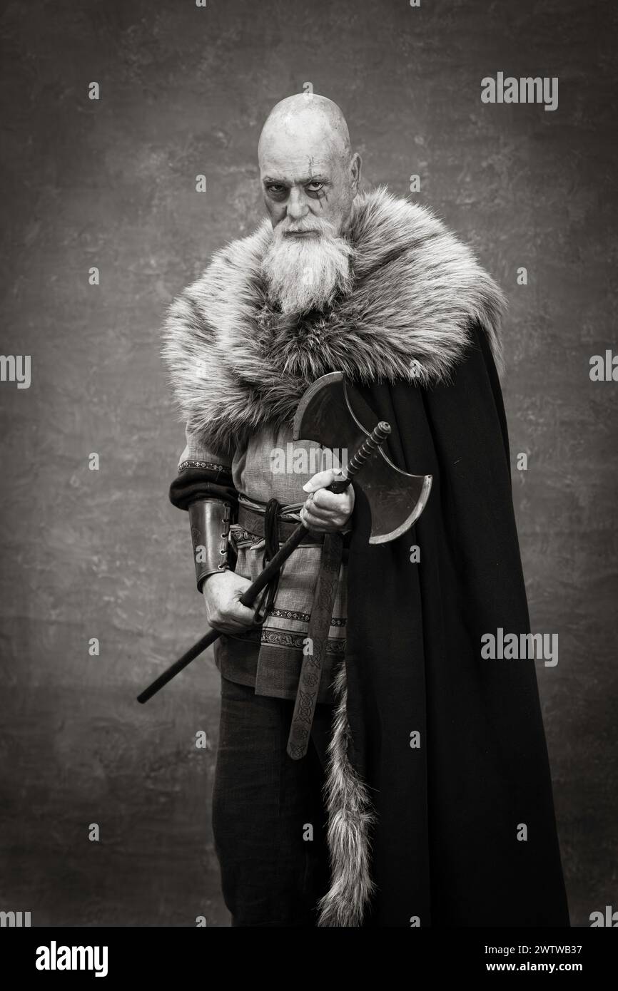 Viking chieftain hi-res stock photography and images - Alamy