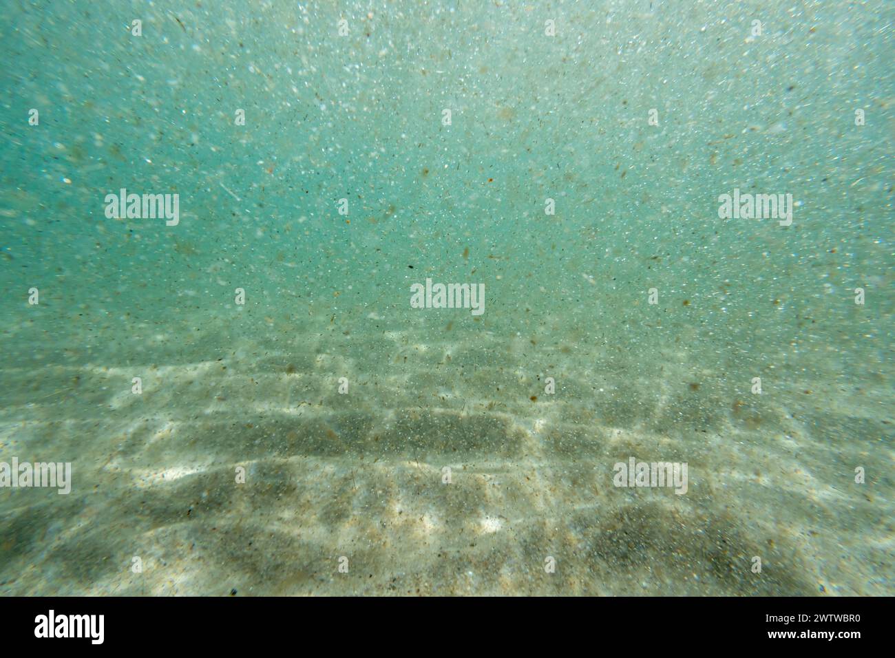 Ocean particles hi-res stock photography and images - Alamy