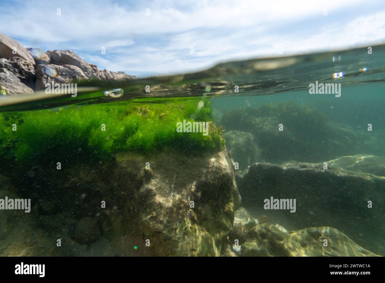 Underwater above beach split view hi-res stock photography and images ...
