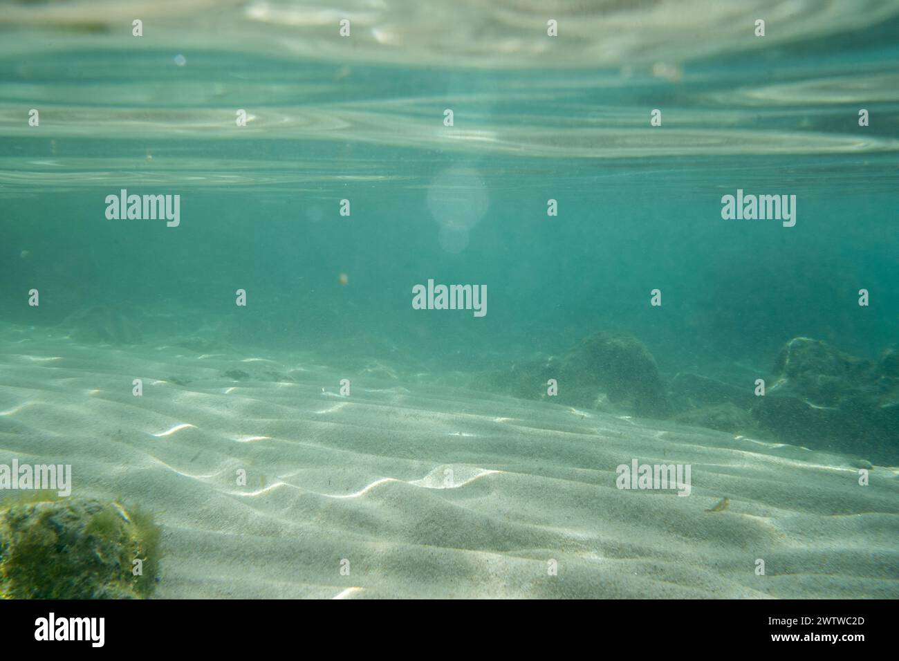 Algae rock underwater green reflection. High quality photo Stock Photo ...