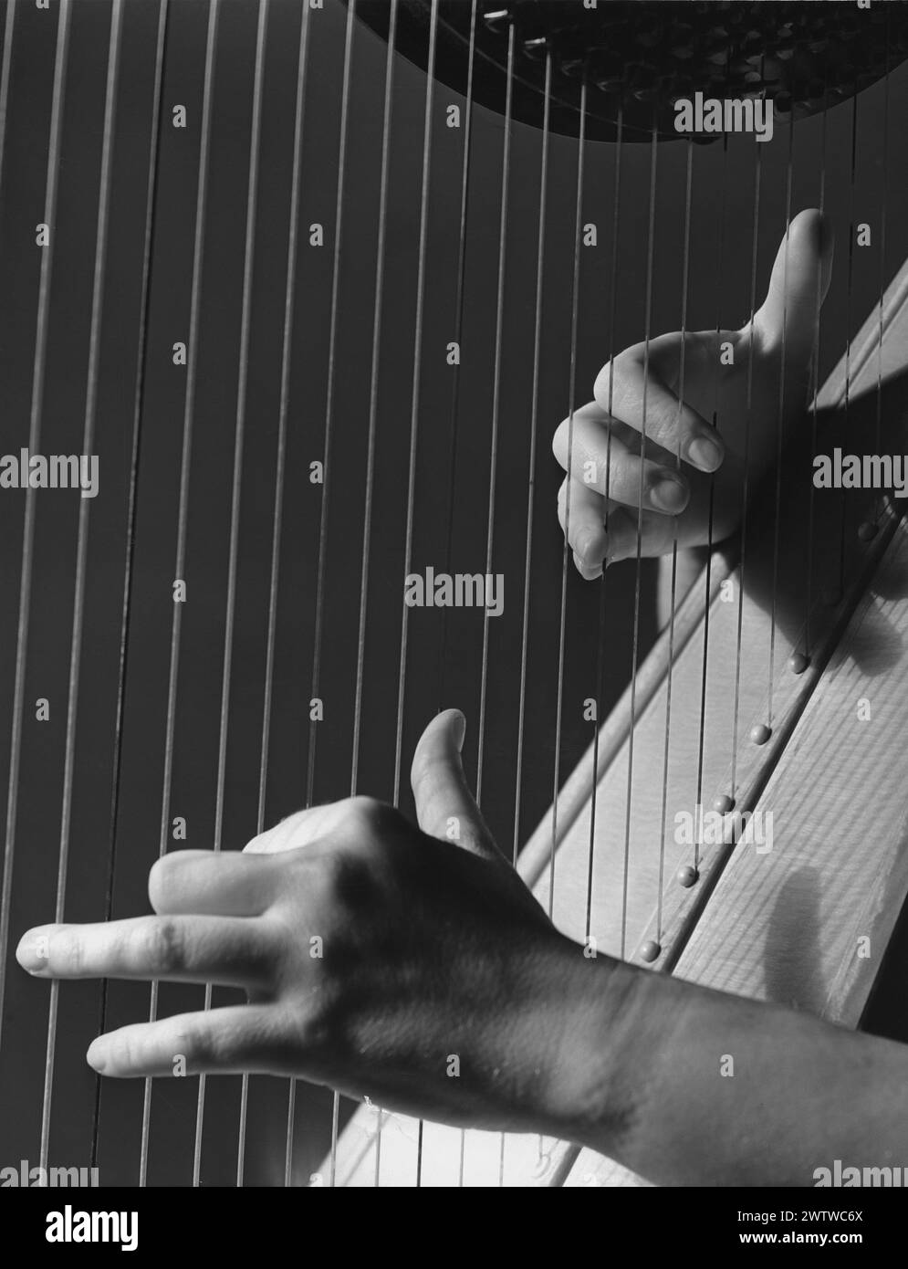 Close harp hi-res stock photography and images - Alamy