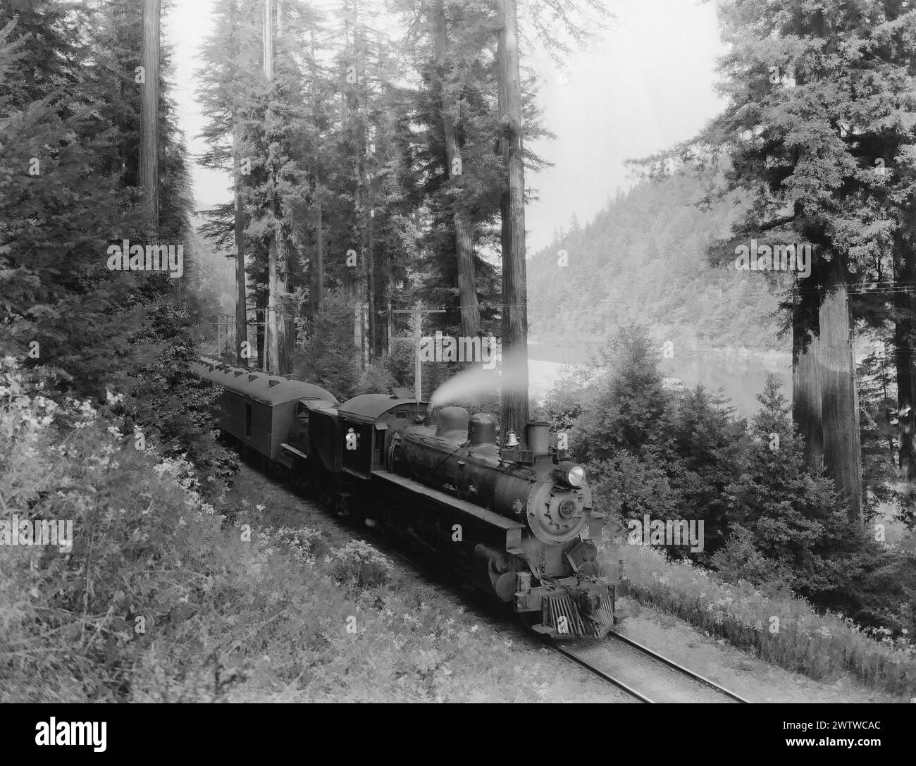 Steam train on the tracks running through the woods lakeside Stock ...