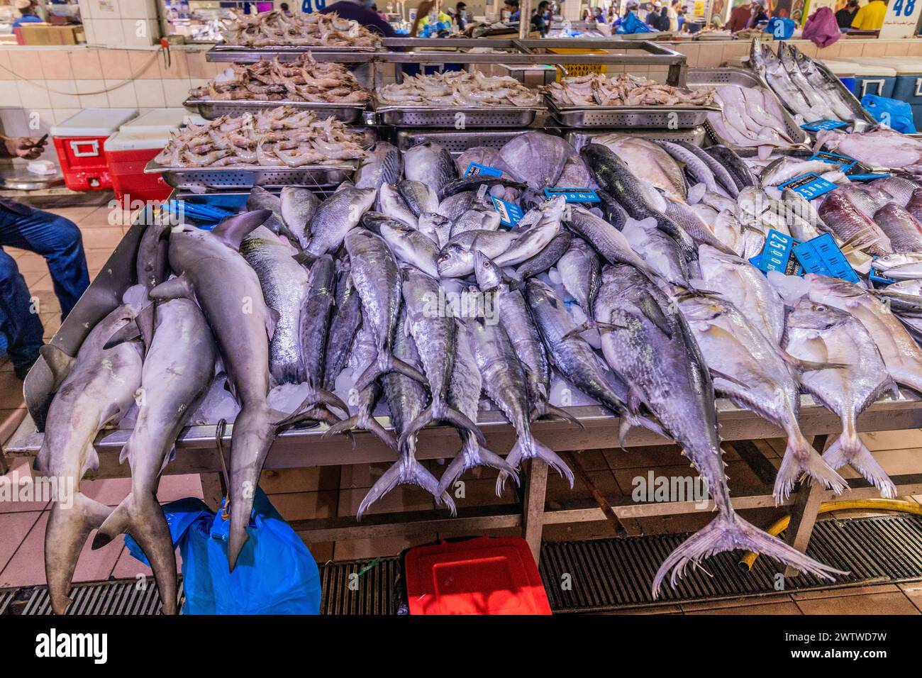 ABU DHABI, UAE - OCTOBER 15, 2021: Fish stall at Al Mina Market in Abu ...
