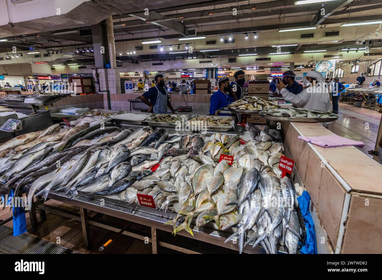 Mina fish market abu dhabi hi-res stock photography and images - Alamy