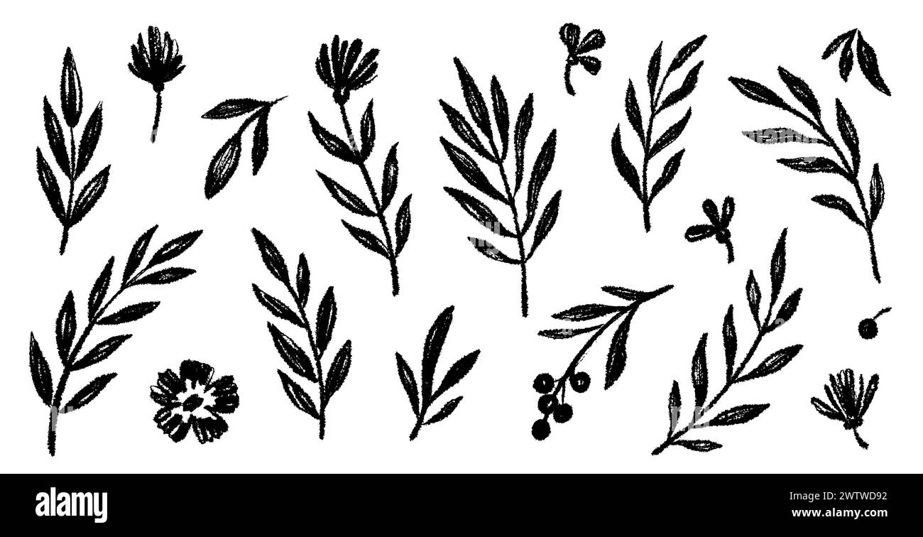 Leaf brush hand drawn ink elements. Black crayon texture brush abstract ...