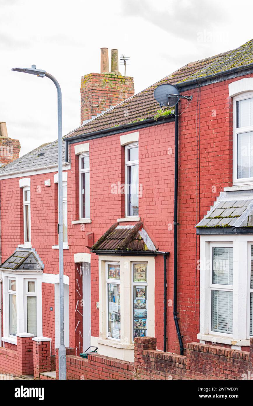 Gavin and stacey alison steadman hi-res stock photography and images ...