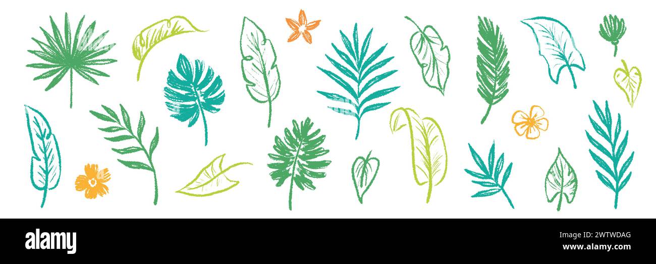 Palm leaf hand drawn crayon brush illustration. Foliage green tropical ...