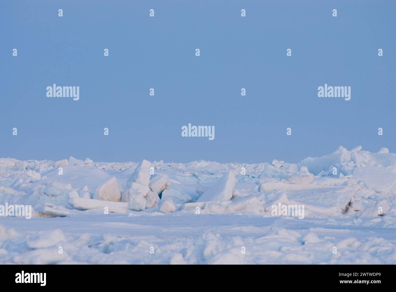 Seascape of rough pack ice over the Chukchi sea in springtime, off ...