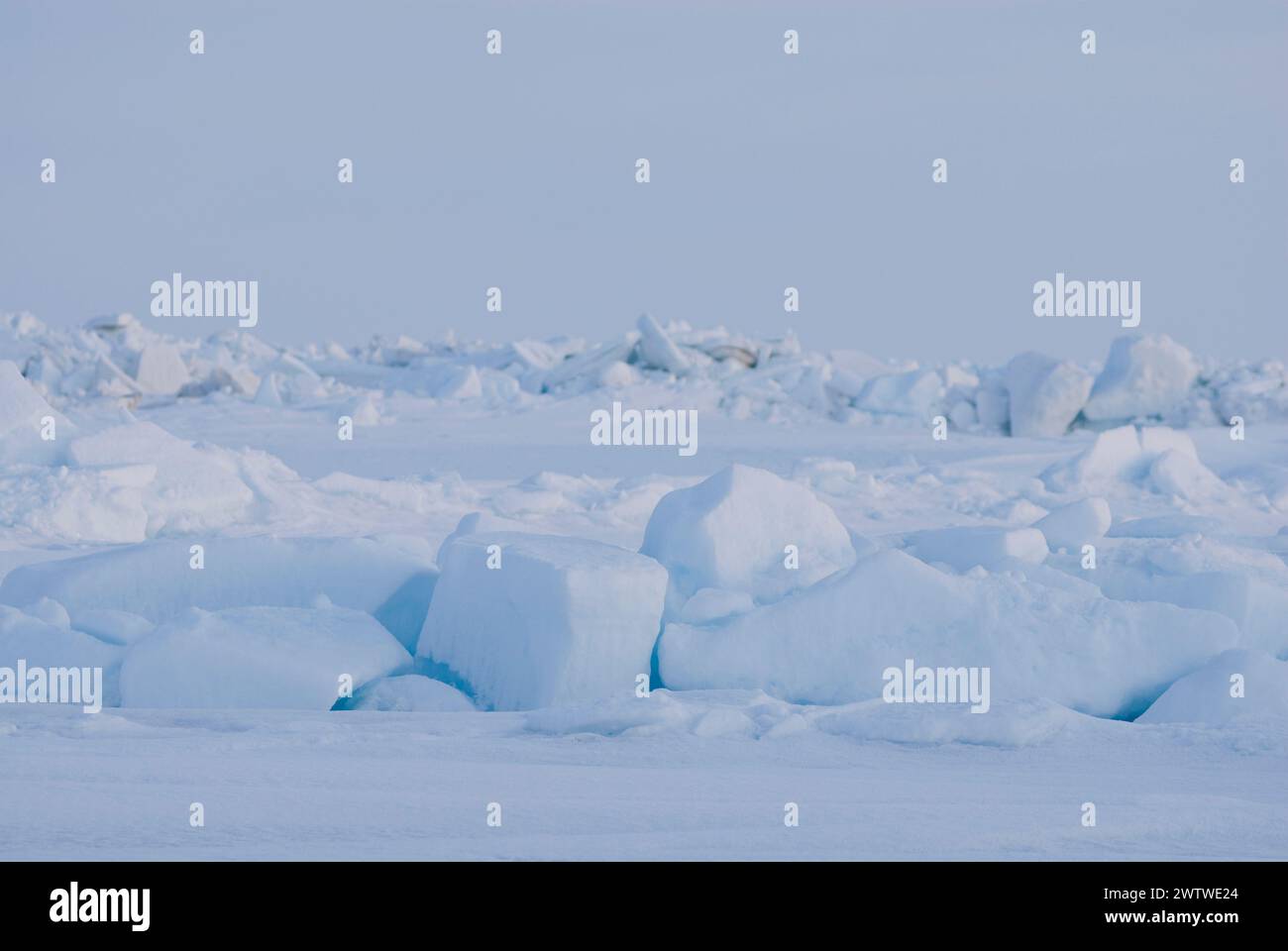 Seascape of rough pack ice over the Chukchi sea in springtime, off ...