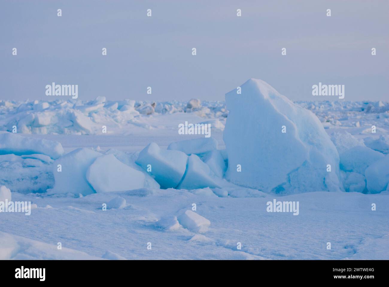 Seascape of rough pack ice over the Chukchi sea in springtime, off ...