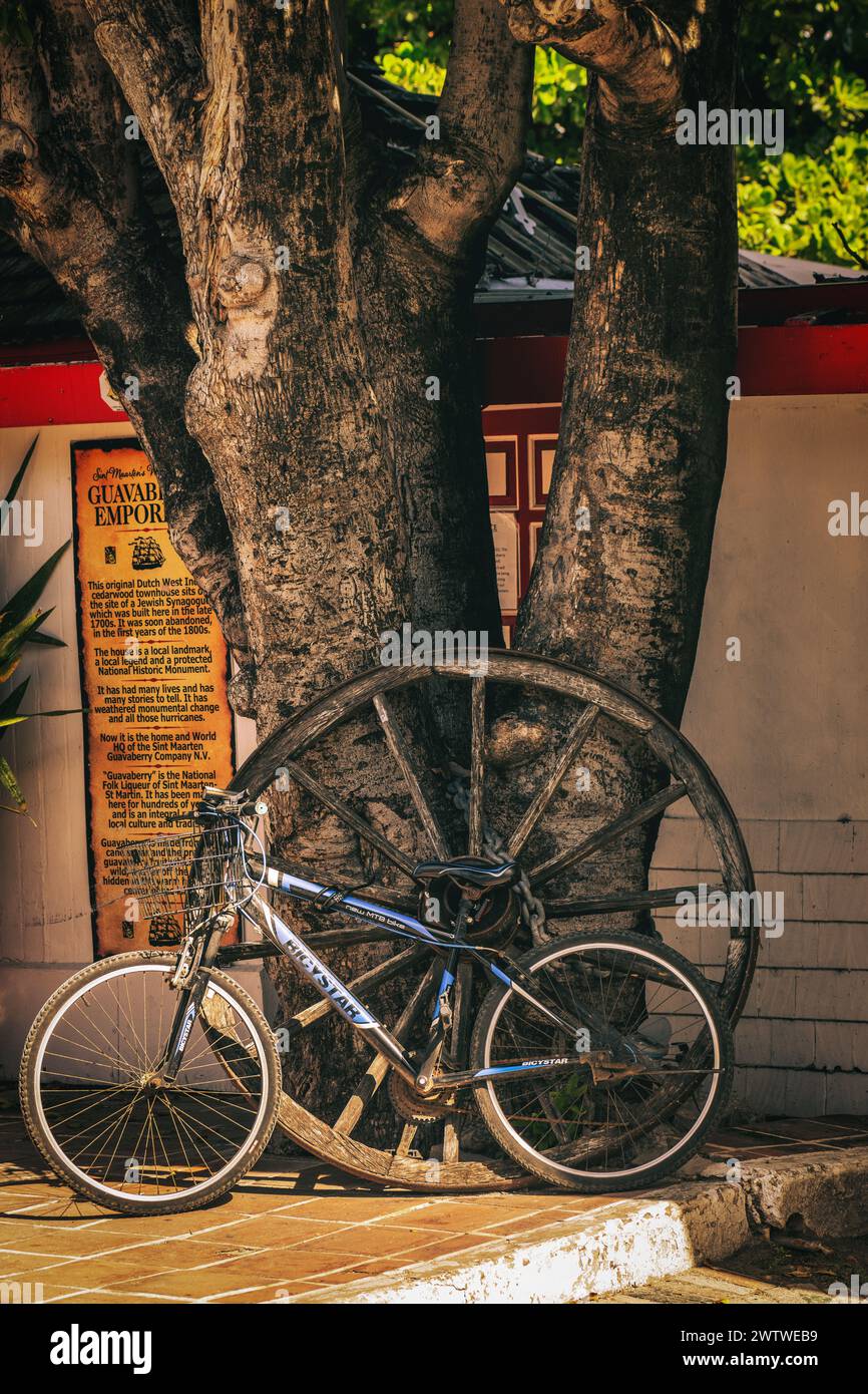 A bicycle is curiously wrapped around a tree next to a sign, suggesting ...