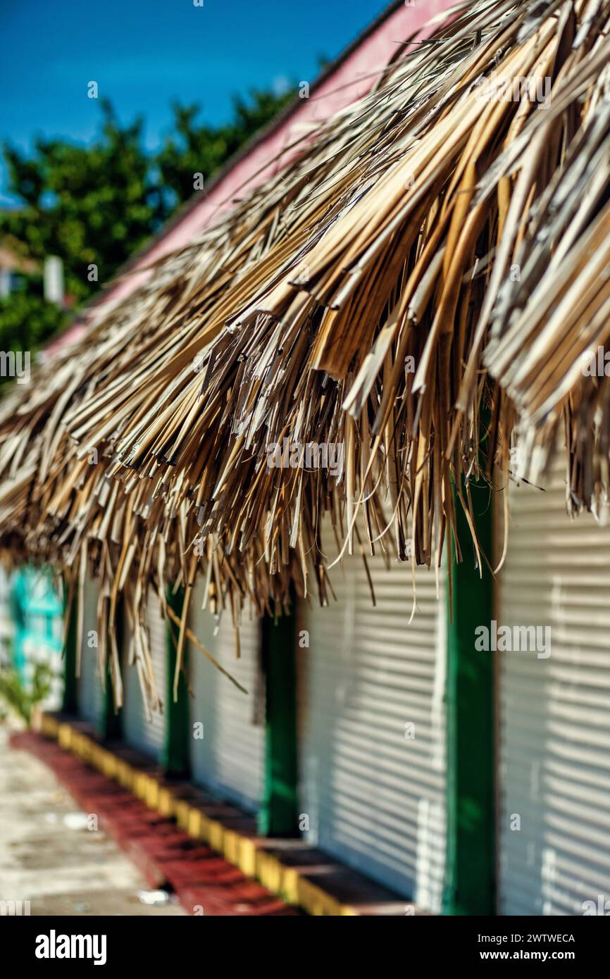Detailed view of a thatched roof showing intricate patterns and ...