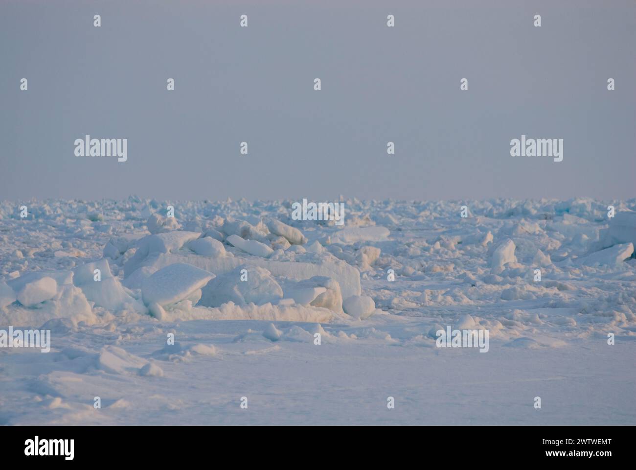 Seascape of rough pack ice over the Chukchi sea in springtime, off ...